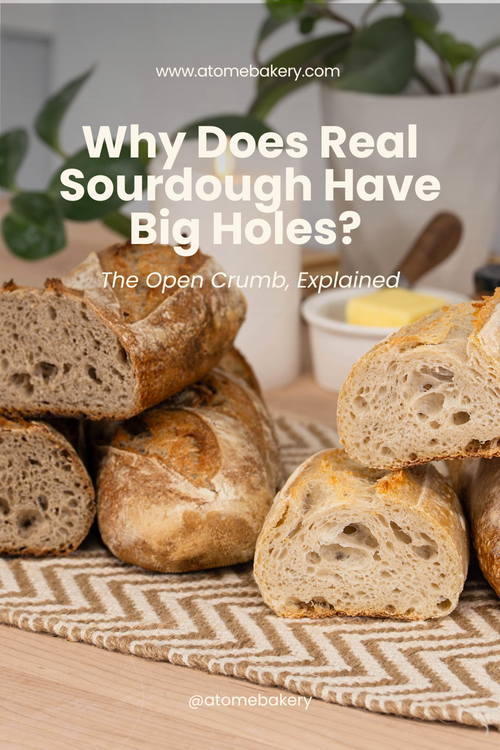 Why Does Real Sourdough Have Big Holes? Open Crumb Explained